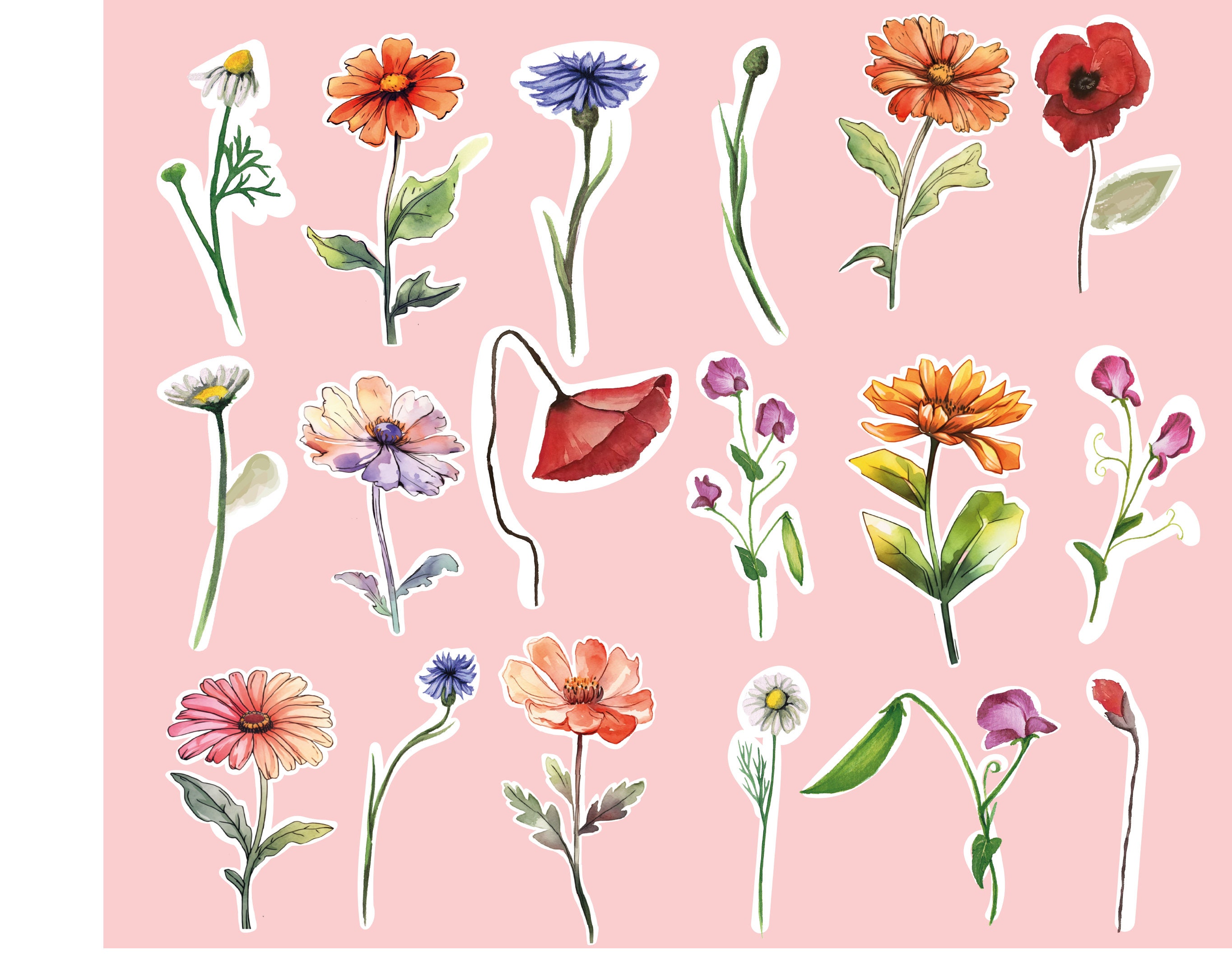 Watercolor Flower Stickers SVG Bundle |aesthetic Sticker| Flower ...