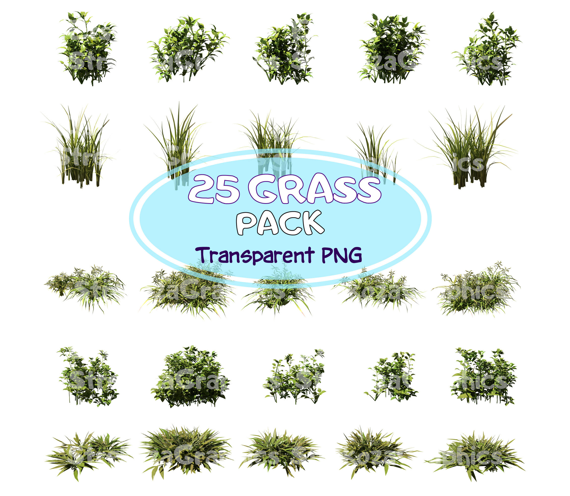 Set of Different Grasses Isolated on Transparent Background. - Etsy