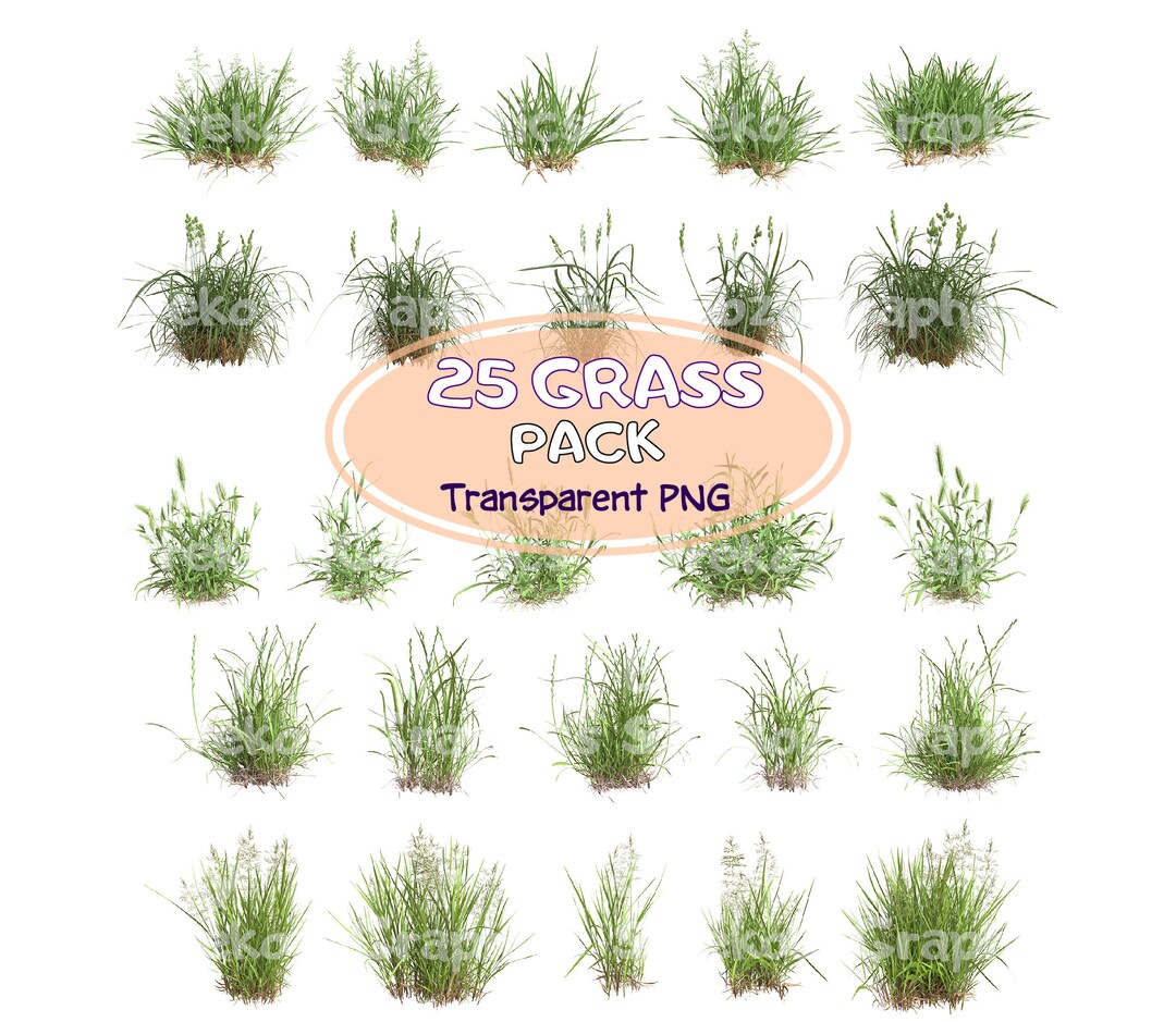 Set of Different Grasses Isolated on Transparent Background. - Etsy UK