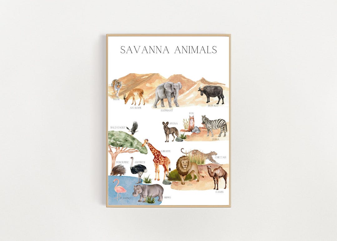 Savanna Animals Learning Poster | Educational Print | Chart | Classroom ...