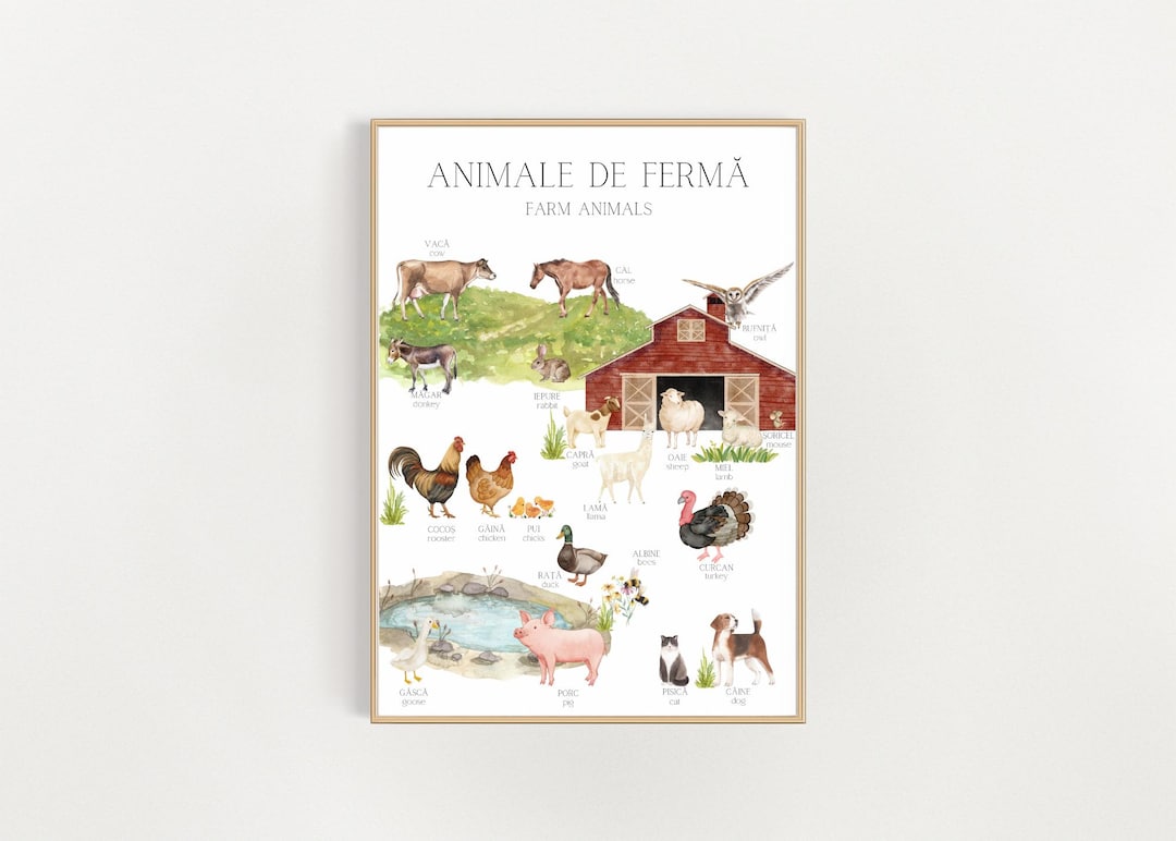 Romanian-english Bilingual Farm Animals Learning Poster | Educational ...