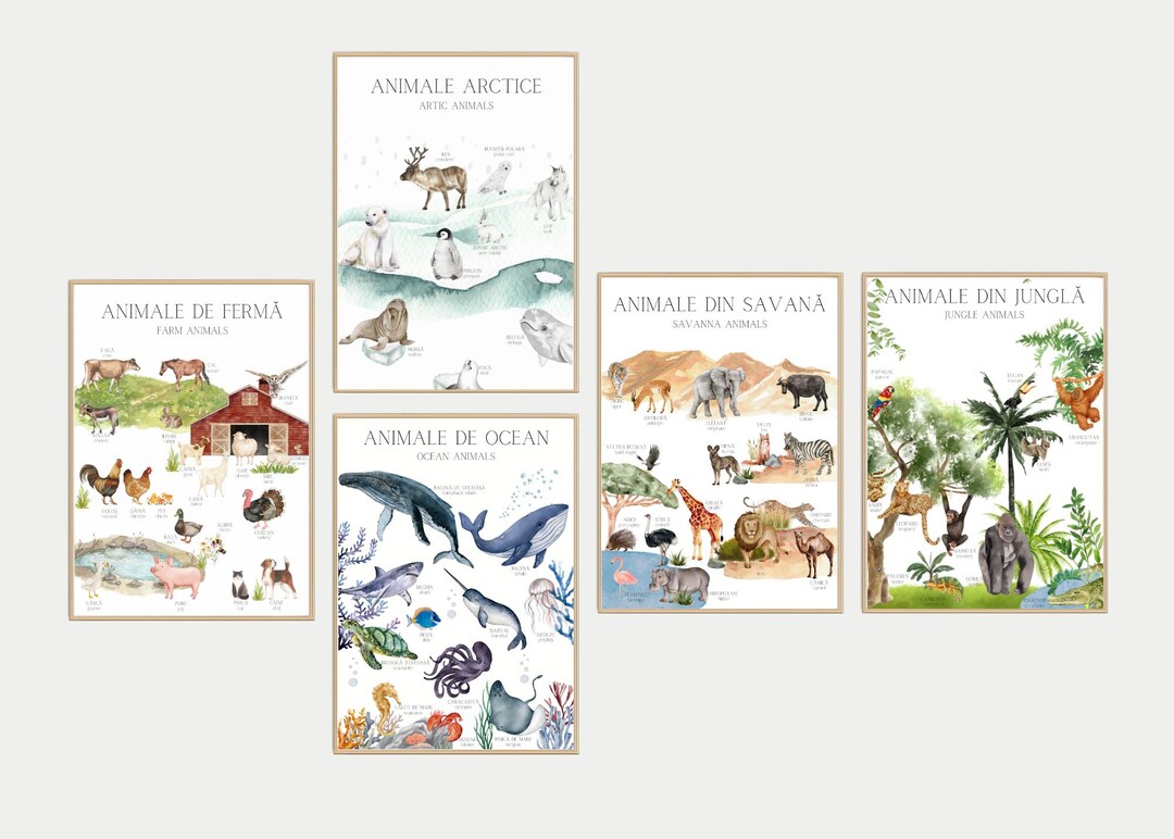Romanian-english Bilingual Animal Bundle Charts- Farm, Jungle, Ocean ...