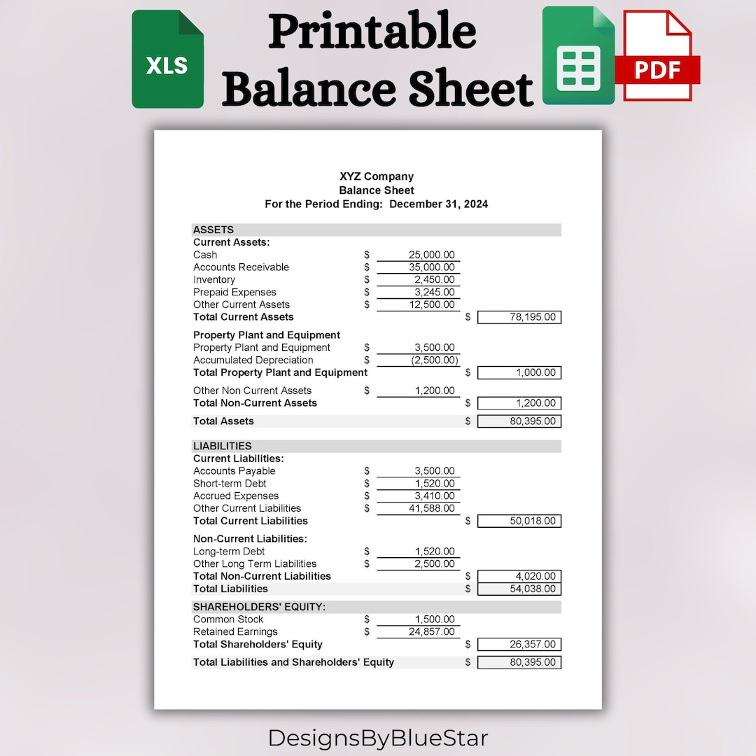 Editable Balance Sheet | Balance Sheet Template | Balance Sheet in ... Editable Balance Sheet | Balance Sheet Template | Balance Sheet in ...