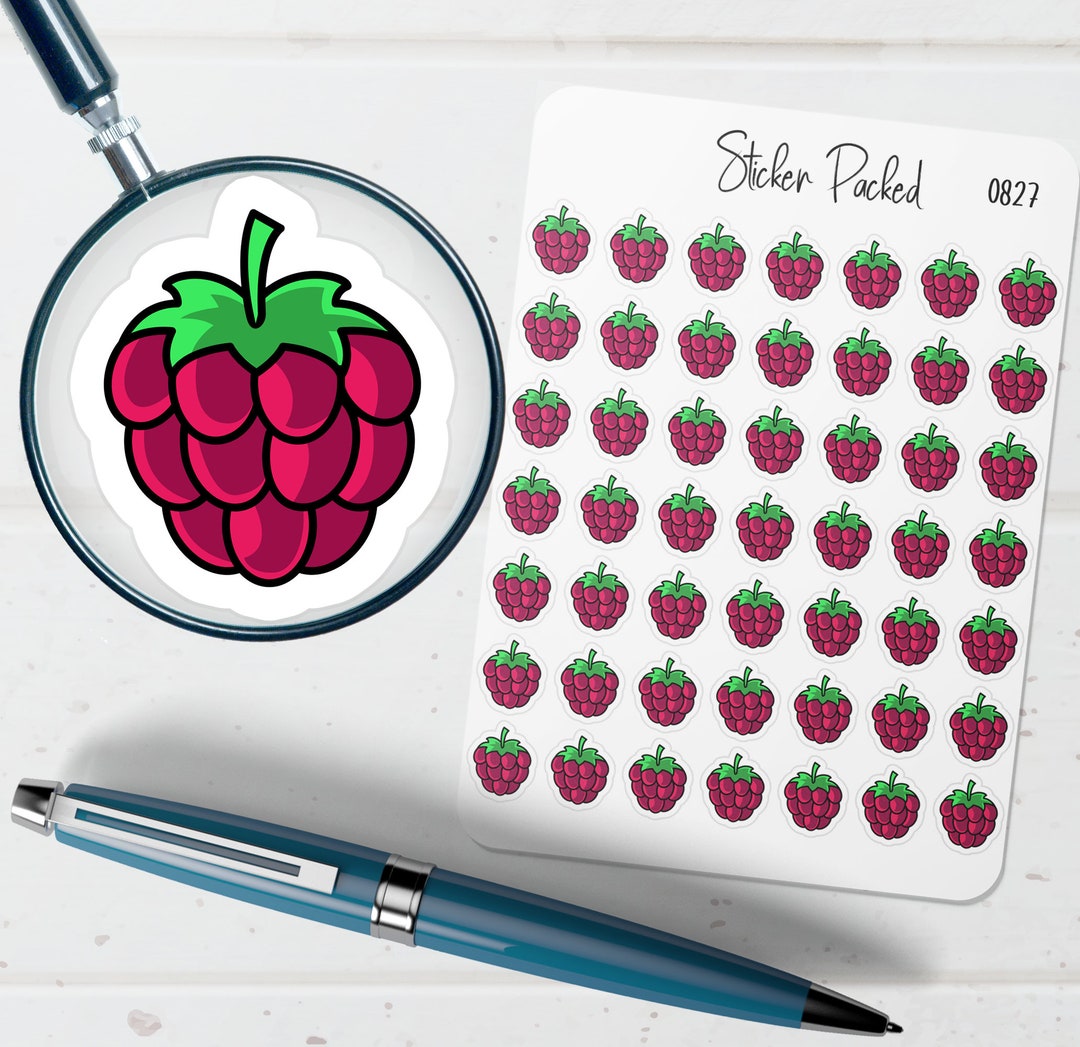 Raspberry Planner Sticker Raspberry Icon Sticker Raspberry Sticker ...