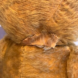 Edwardian Era 23” Musical Mohair Teddy Bear - Etsy