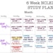 6 Week NCLEX Study Plan - Detailed & Handwritten - Etsy