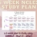 6 Week NCLEX Study Plan - Detailed & Handwritten - Etsy