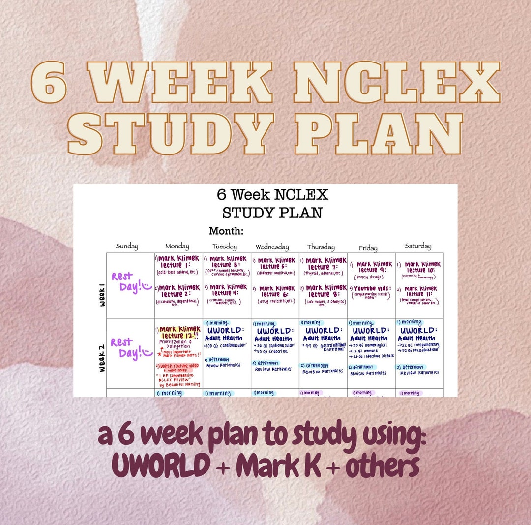 6 Week NCLEX Study Plan - Detailed & Handwritten - Etsy