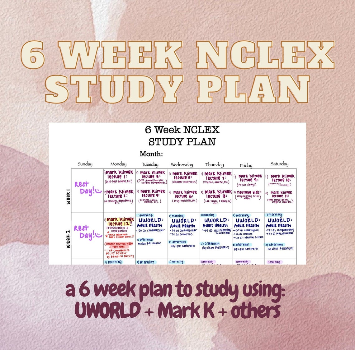 6 Week NCLEX Study Plan - Detailed & Handwritten - Etsy