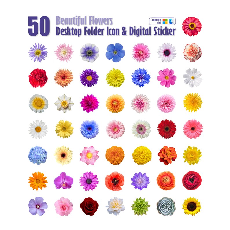 100 Desktop Folder Icons & Sticker Value Pack, Flower Folder Icons ...
