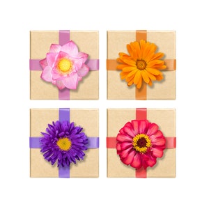 100 Desktop Folder Icons & Sticker Value Pack, Flower Folder Icons ...