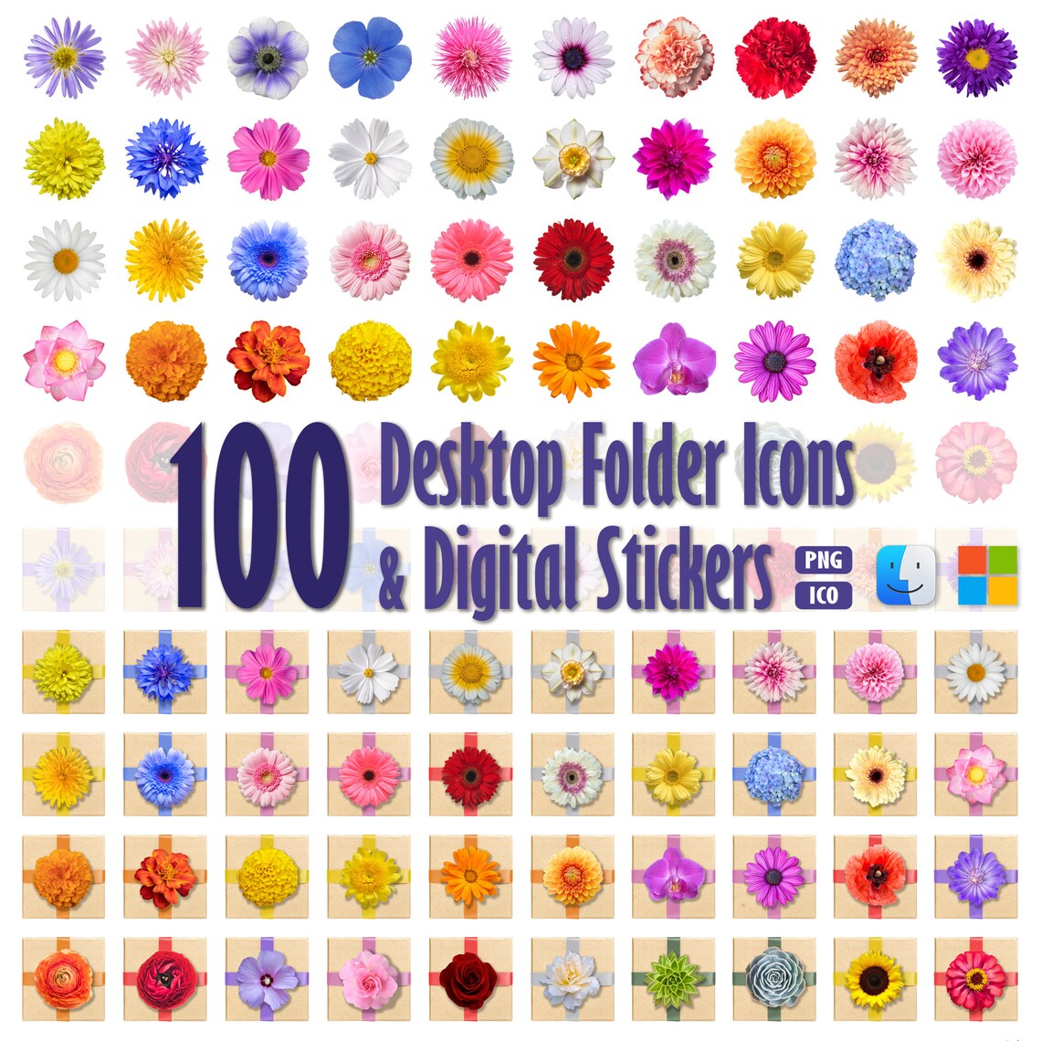 100 Desktop Folder Icons & Sticker Value Pack, Flower Folder Icons ...