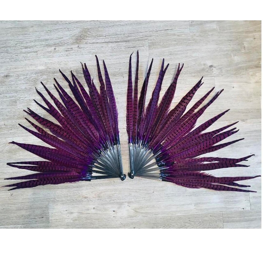 Gorgeous Pheasant Feather Fans - Etsy