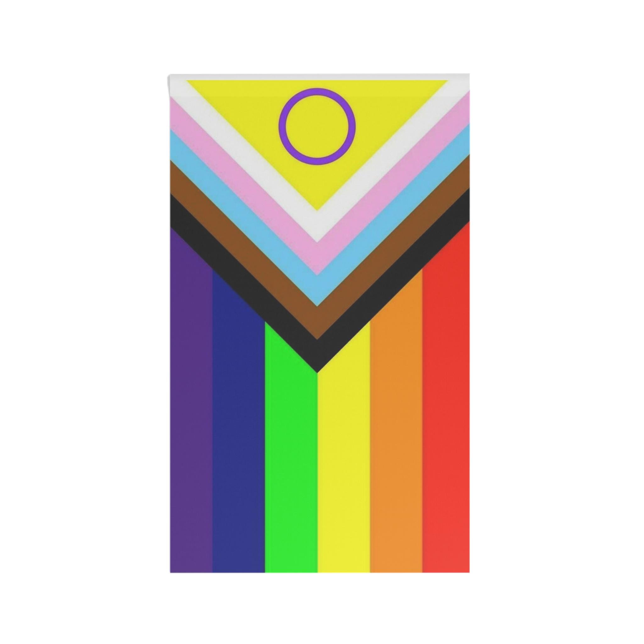 Transgender Pride House Flag, LGBTQ+ DEI Decor - Etsy