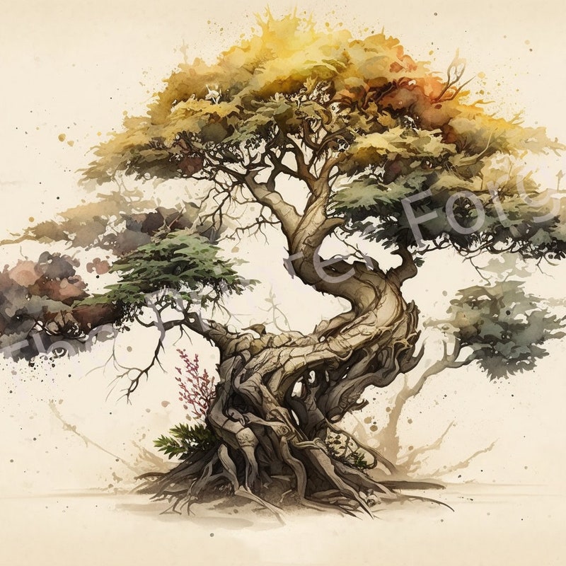 Bonsai Tree Painting - Etsy