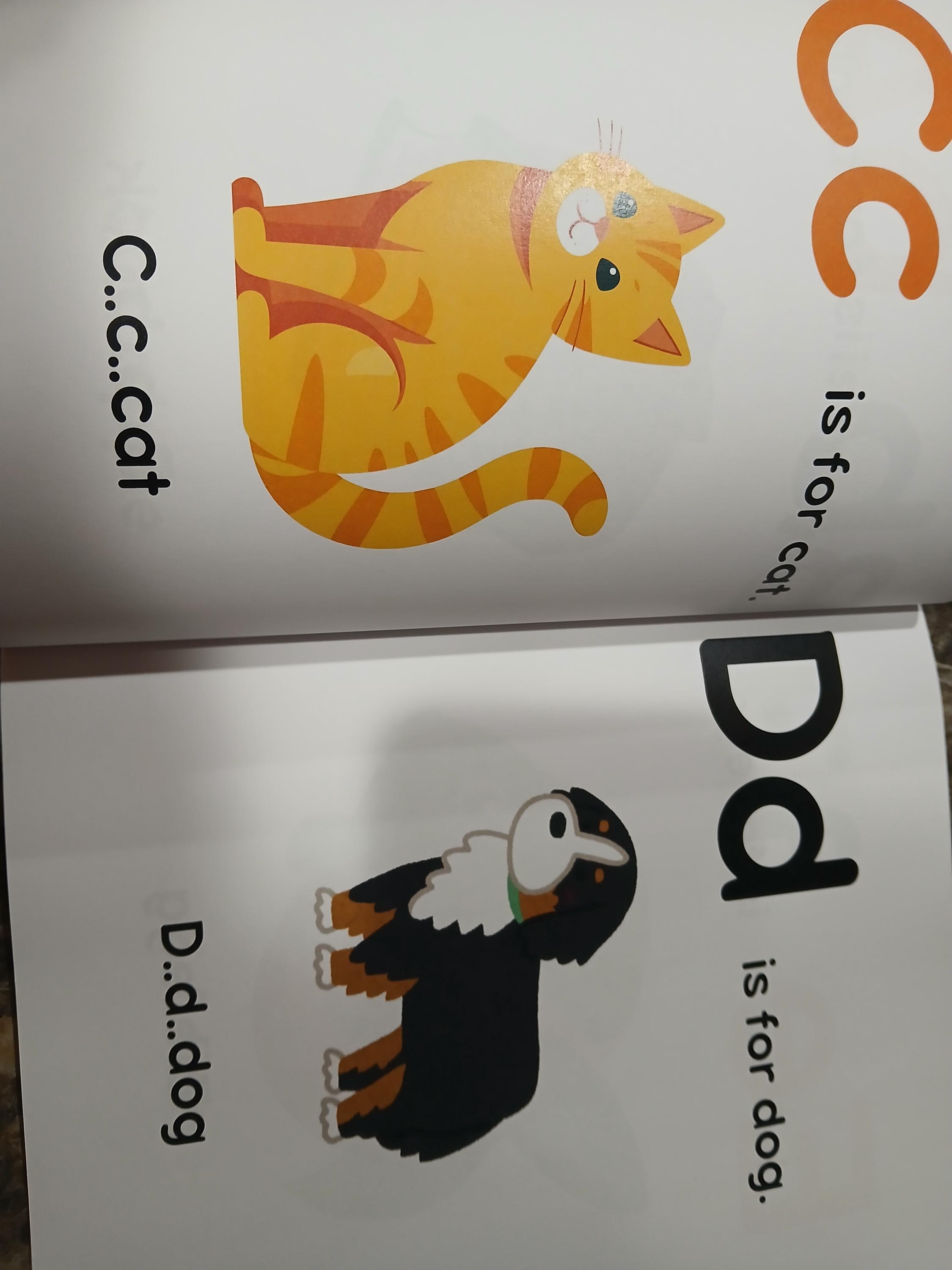 ABC Sing With Me Alphabet Book, Homeschool Learning - Etsy