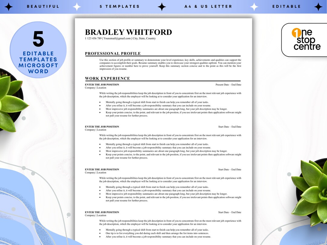 ATS Executive Resumes for Word CV Template Clean, Professional Resume ...