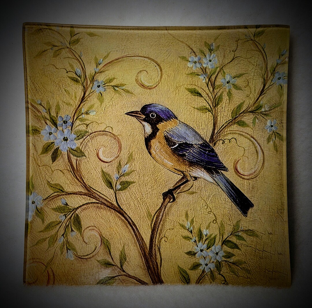 Square Glass Painted 6 X 6 Bluebird Plate - Etsy
