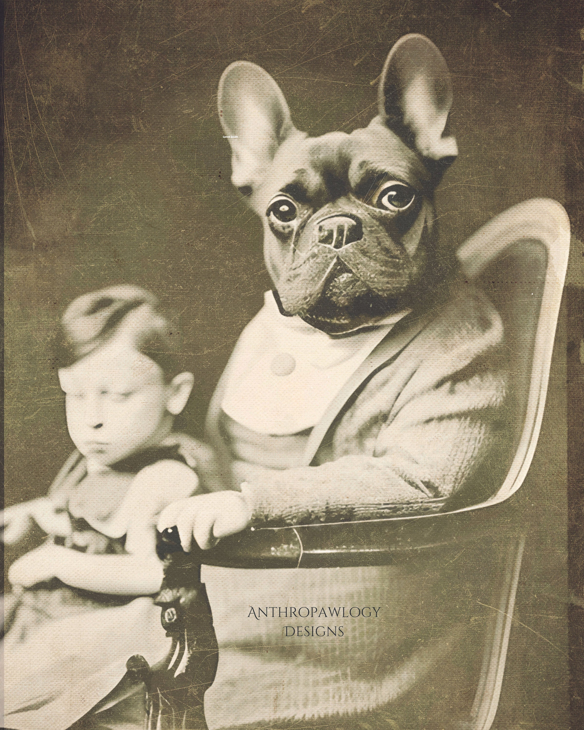Vintage Victorian French Bulldog Photo oscar, Whimsical, Fine Art, Wall ...