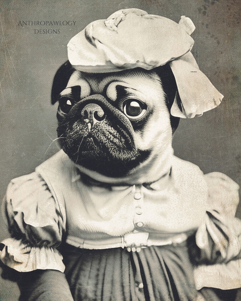 Vintage Victorian Pug Photo gemma, Whimsical, Fine Art, Wall Art, Dog ...