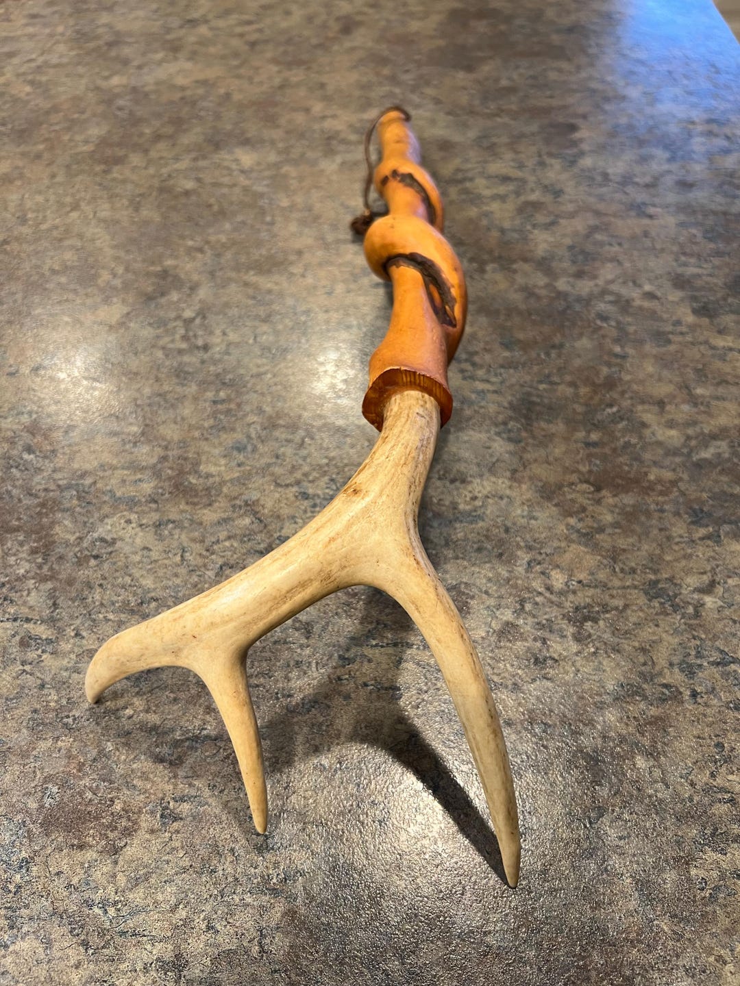 Deer Horn Back Scratcher / One of a Kind Antler Art With Curvy Wood ...