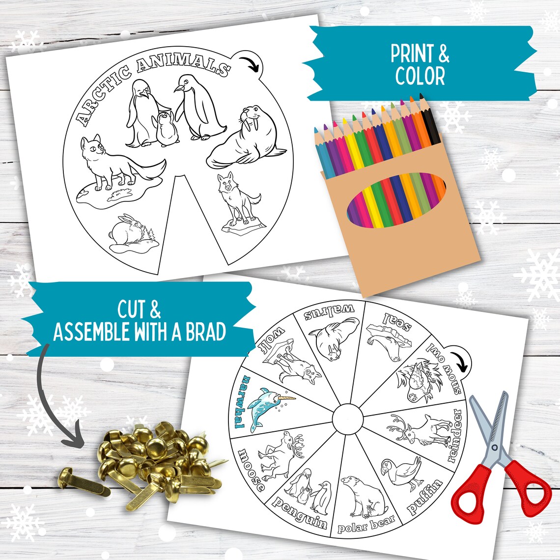 Arctic Animals Coloring Wheel, Realistic Animal Coloring Pages ...