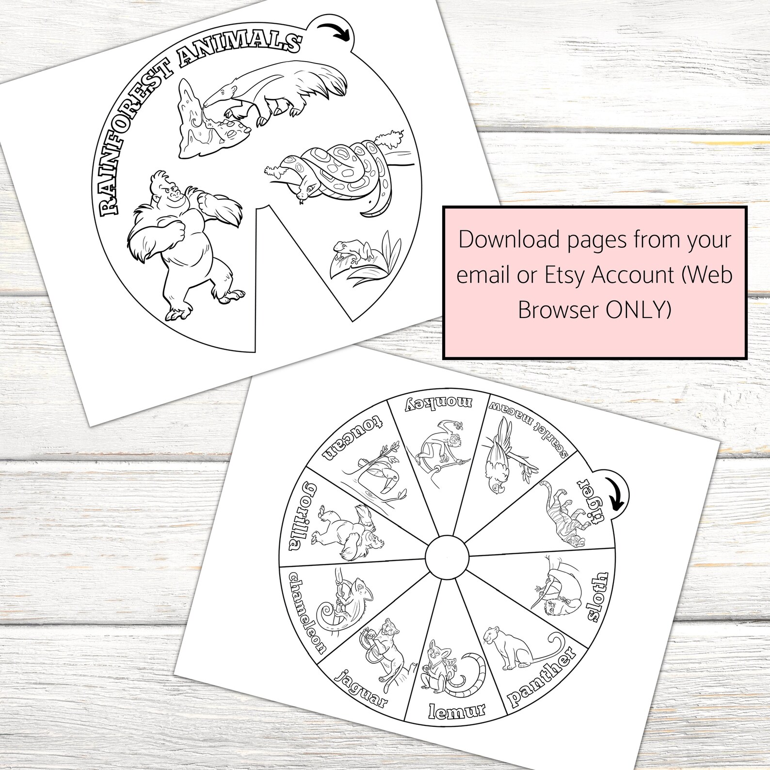 Rainforest Animals Coloring Wheel, Realistic Animal Coloring Pages ...