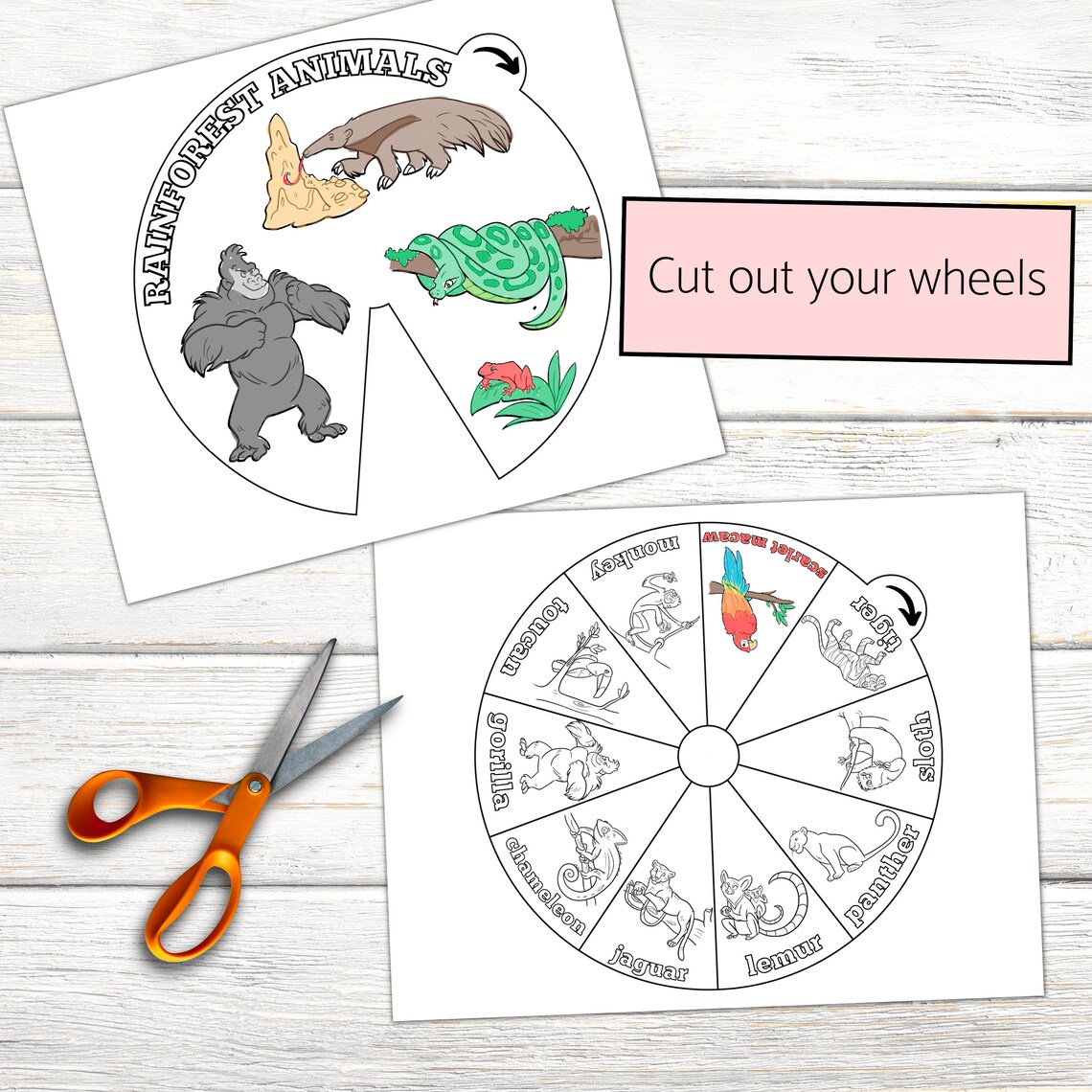 Rainforest Animals Coloring Wheel, Realistic Animal Coloring Pages ...