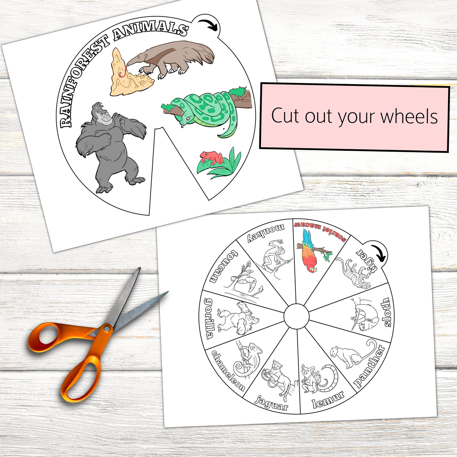 Rainforest Animals Coloring Wheel, Realistic Animal Coloring Pages ...