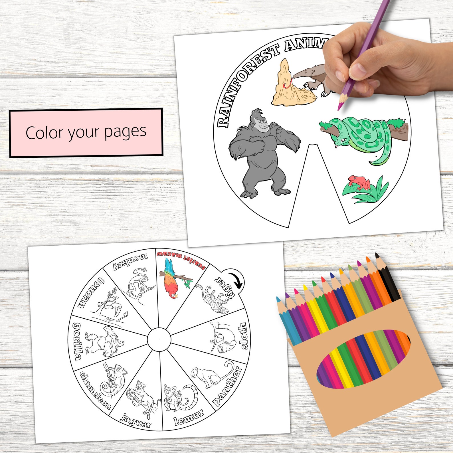 Rainforest Animals Coloring Wheel, Realistic Animal Coloring Pages ...