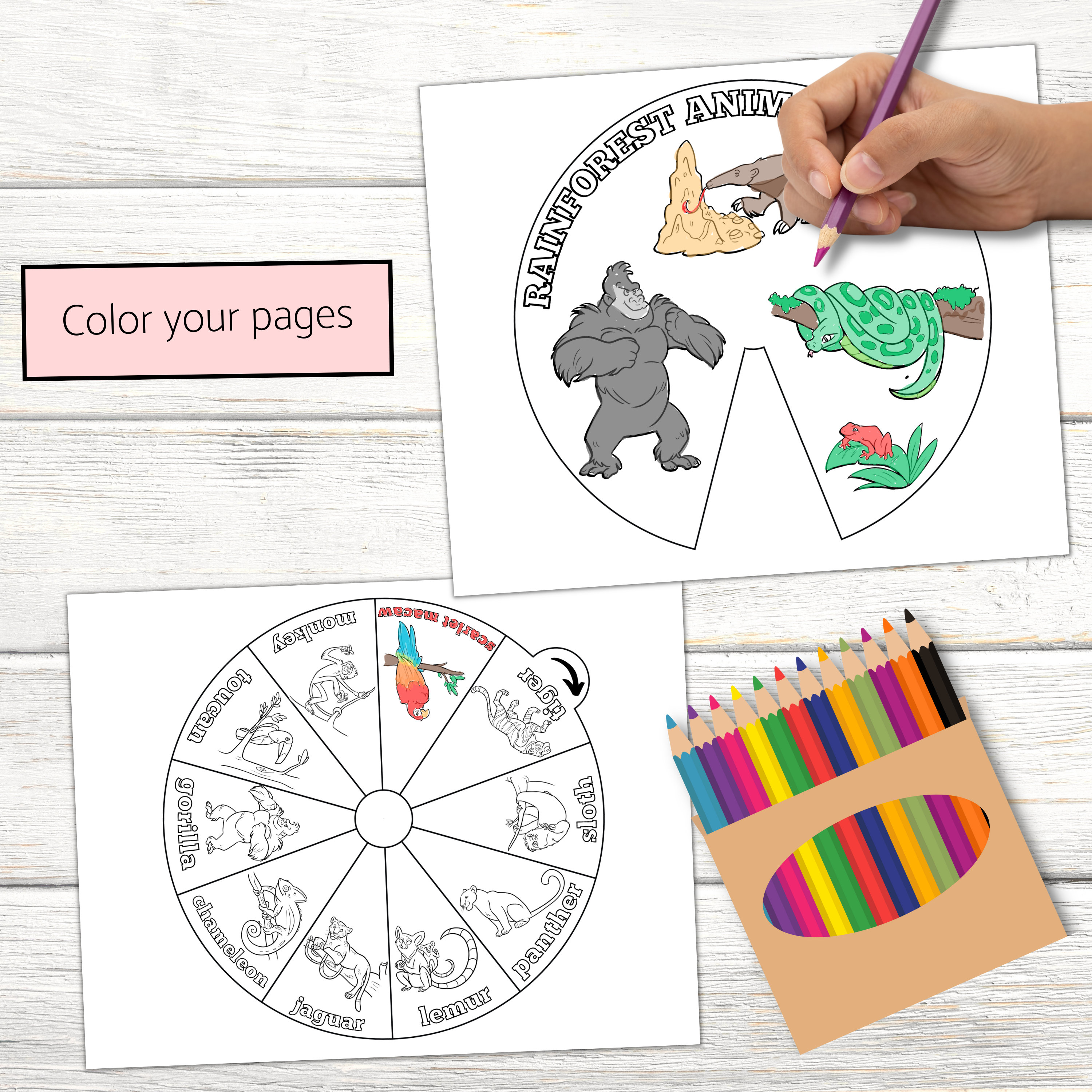 Rainforest Animals Coloring Wheel, Realistic Animal Coloring Pages ...