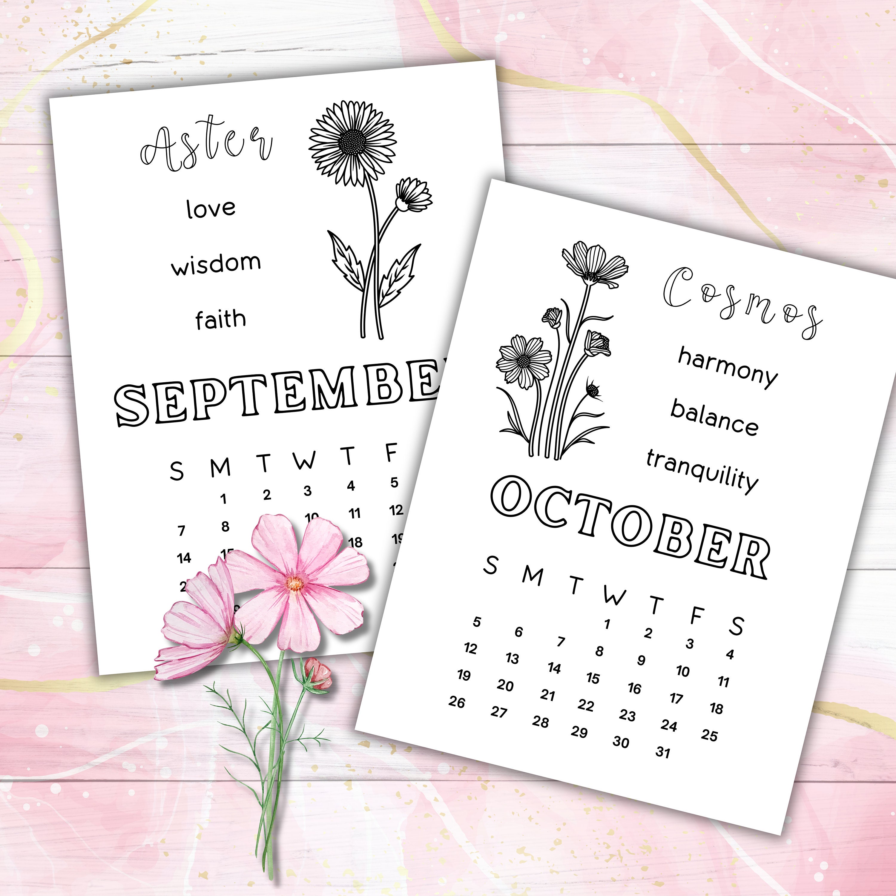 2025 Birth Flower Coloring Calendar, 2025 Cute Feminine Desk Calendar ...