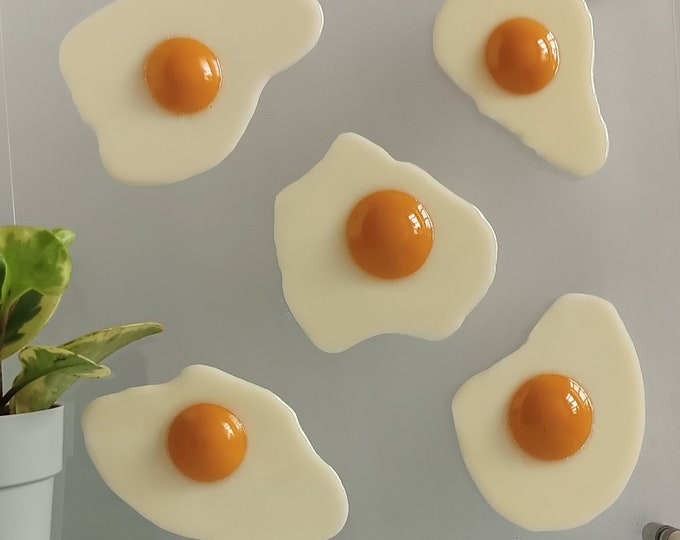 Egg Pop Art, Fried Egg Wall Hanging, Food Art, Sunny Side, Resin ...