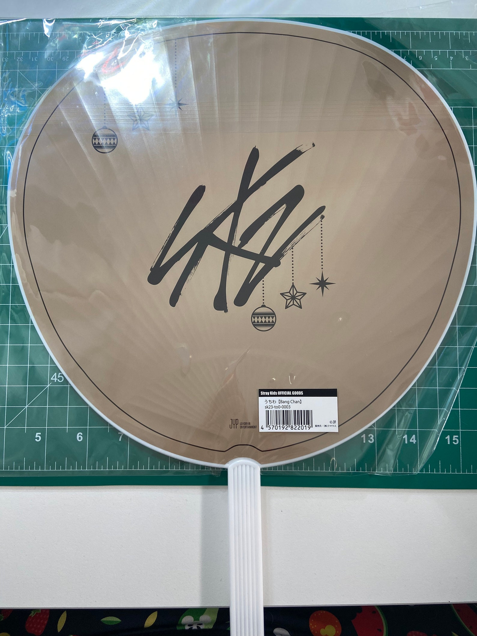 Stray Kids Official Image Picket - Etsy