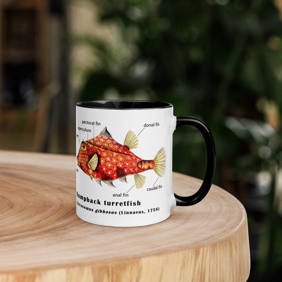 Camel Cowfish Mug With Color Inside - Etsy