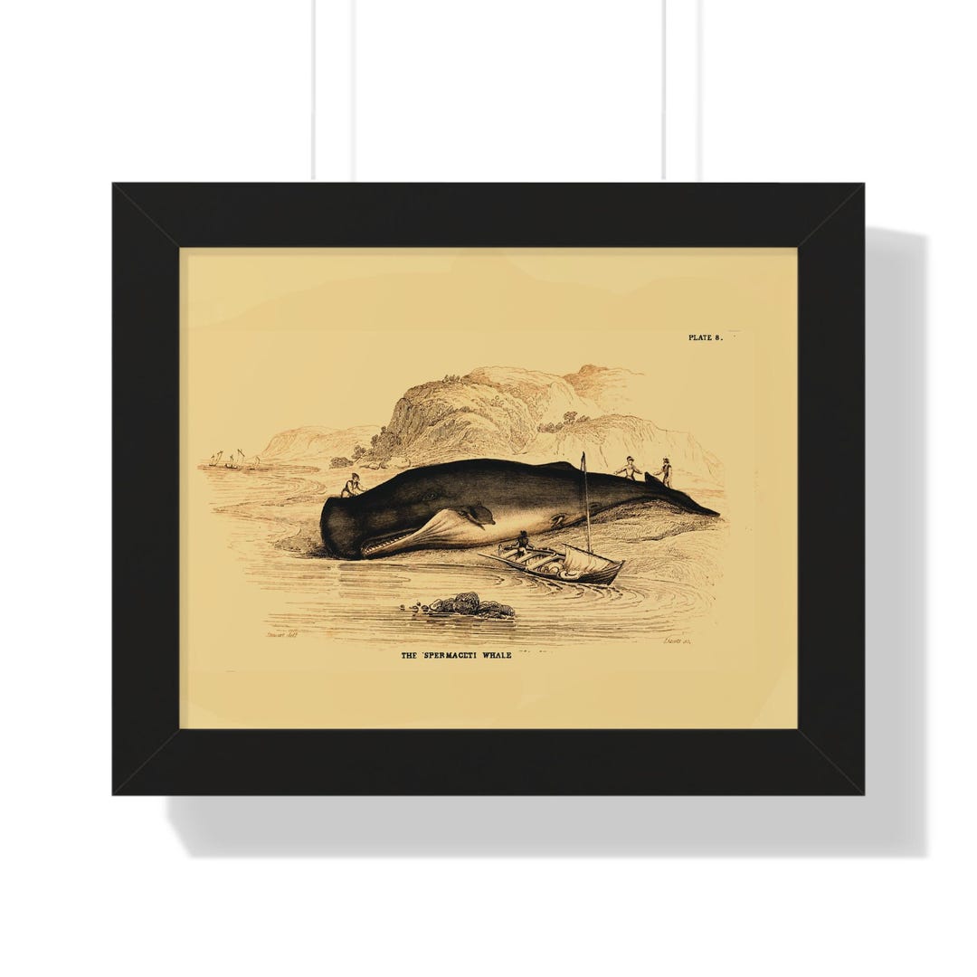The Sperm Whale by Frederick Cuvier Framed Vertical Poster - Etsy