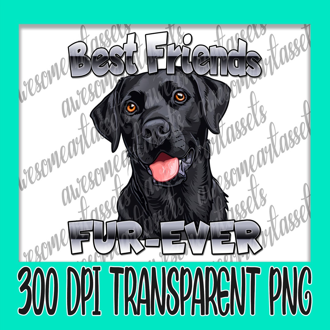 Best Friends Fur-ever Black Lab 300 DPI Transparent PNG - Labrador ...