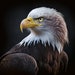 Bald Eagle AI Digital Download Digital Art Animal Digital Image - Etsy