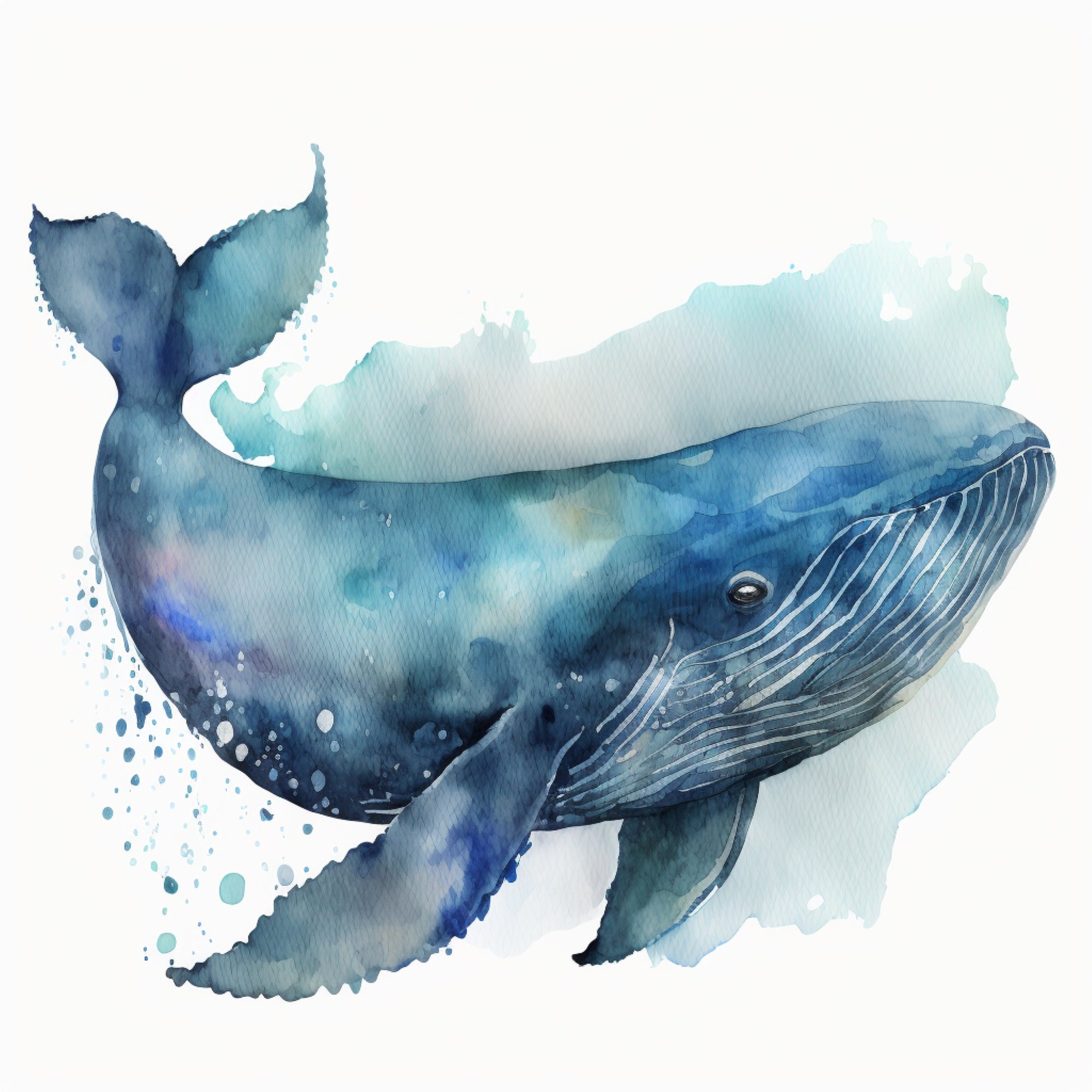 Blue Whale Color and Watercolor 2 Pack AI Digital Download Digital Art ...