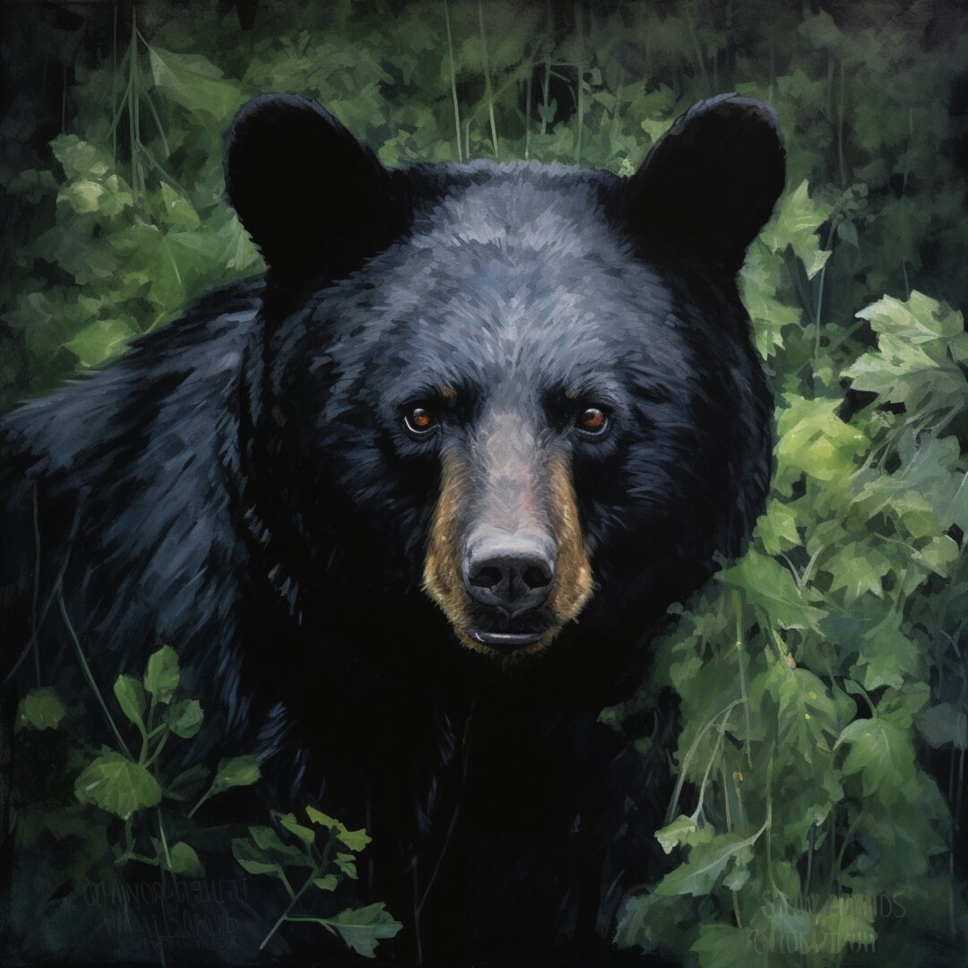 Black Bear Color and Watercolor 2 Pack AI Digital Download Digital Art ...