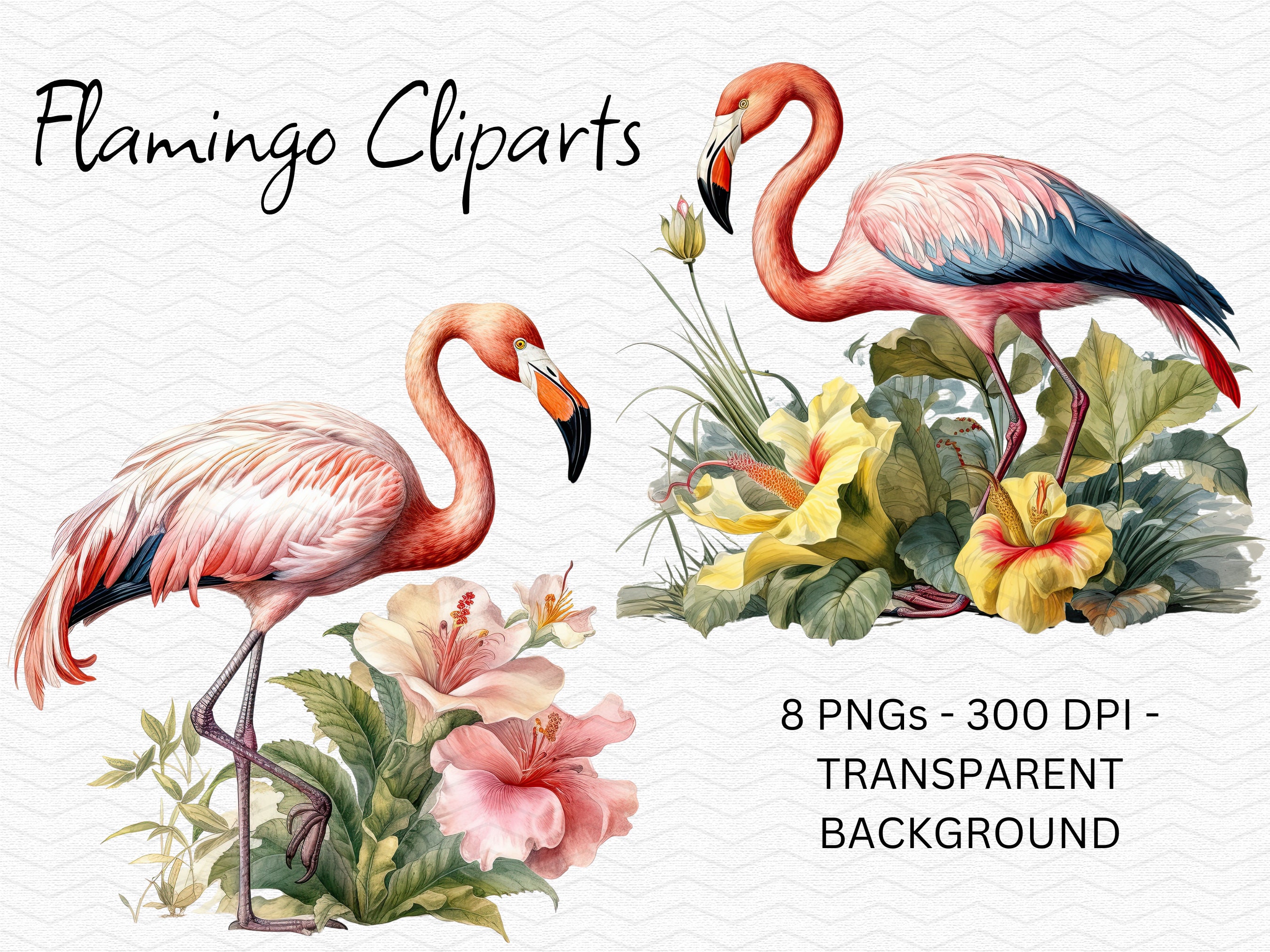Watercolor Flamingo PNG Clipart With Tropical Plant PNG - Etsy