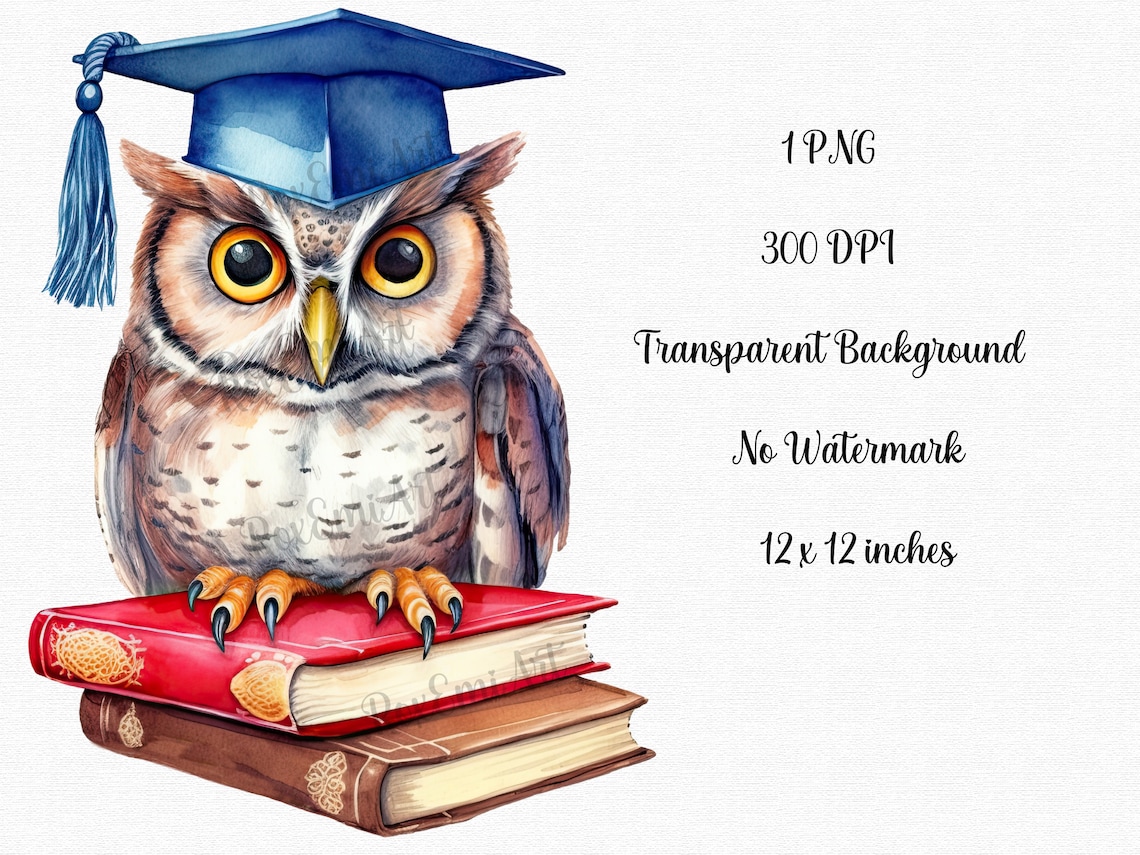 Graduation Clipart Owl PNG Graduation Cap PNG Graduate - Etsy
