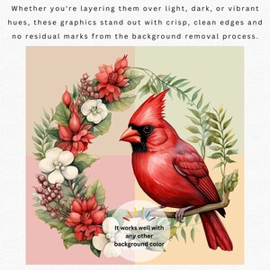 Red Cardinal PNG, Floral Bird Spring Clipart, Sublimation Designs, Card ...