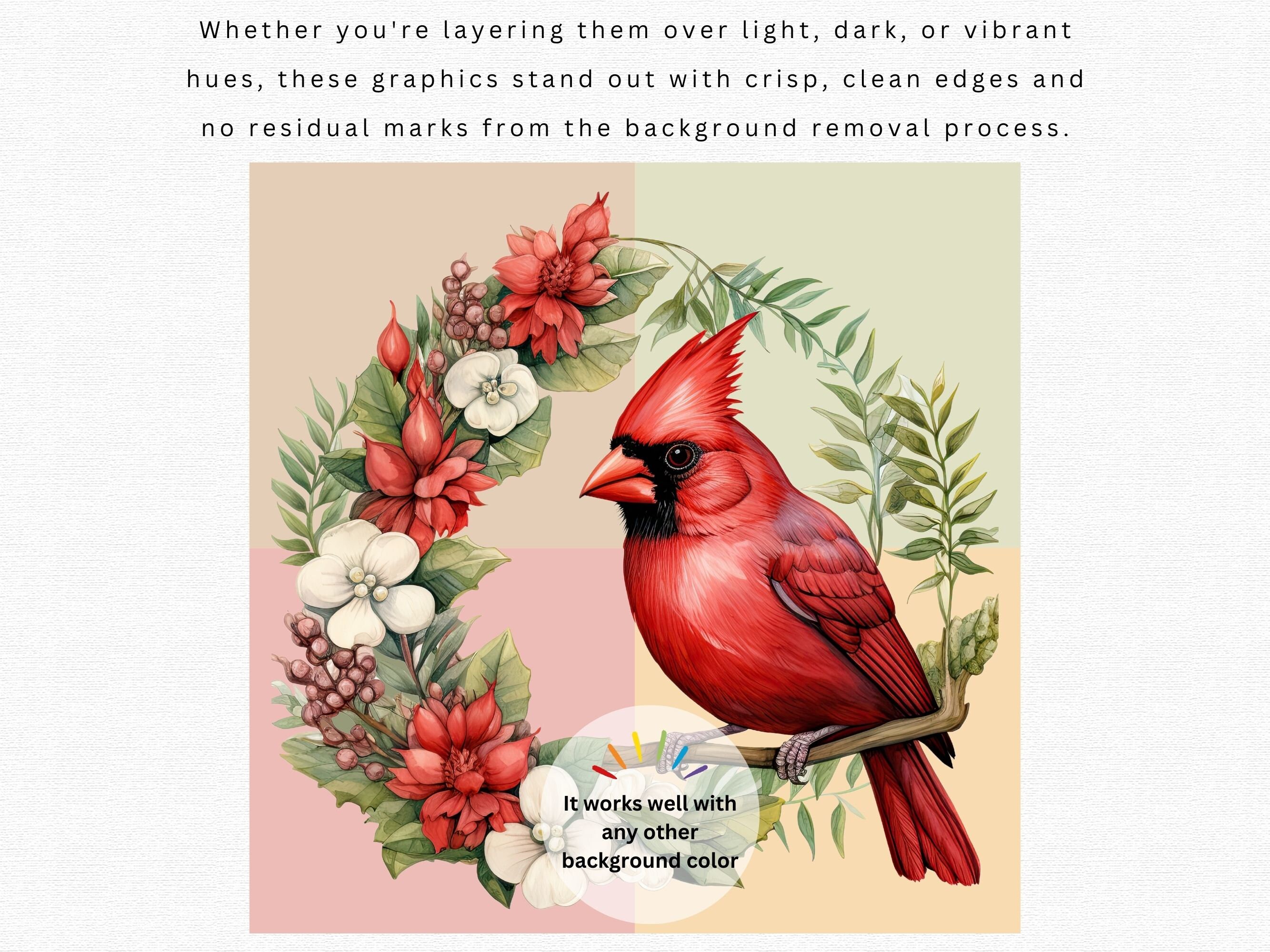 Red Cardinal PNG, Floral Bird Spring Clipart, Sublimation Designs, Card ...