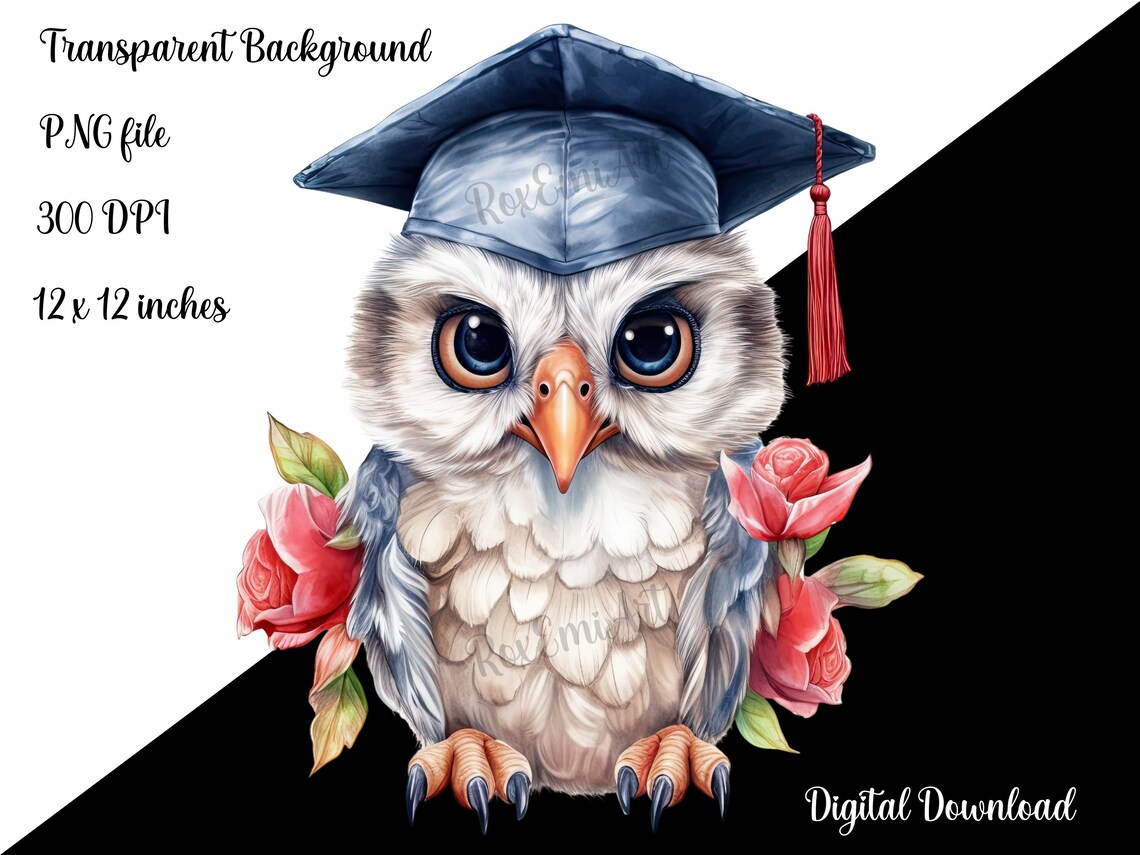 Graduation Clipart Owl PNG Graduation Cap PNG Owl Nursery - Etsy