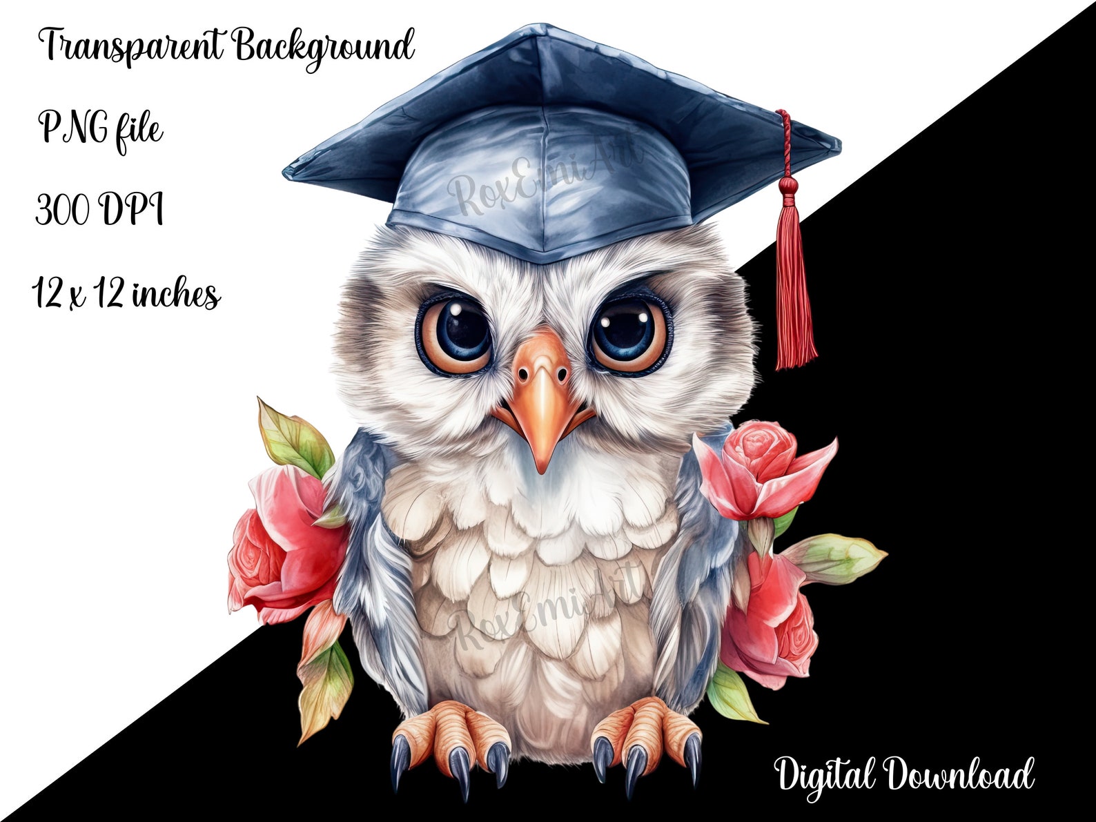 Graduation Clipart Owl PNG Graduation Cap PNG Owl Nursery - Etsy