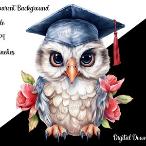 Graduation Clipart Owl PNG Graduation Cap PNG Owl Nursery - Etsy