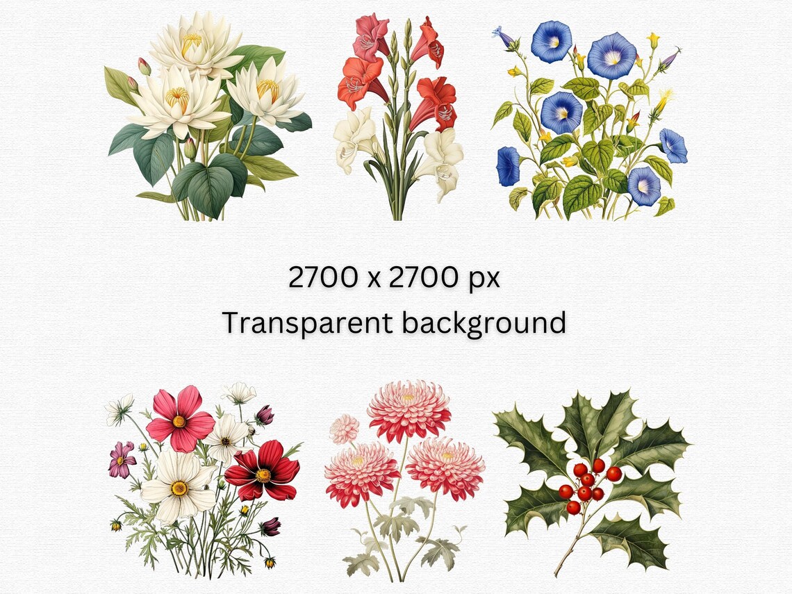 Birth Flower Clipart. Roses Clipart, Lily of the Valley, Water Lily ...