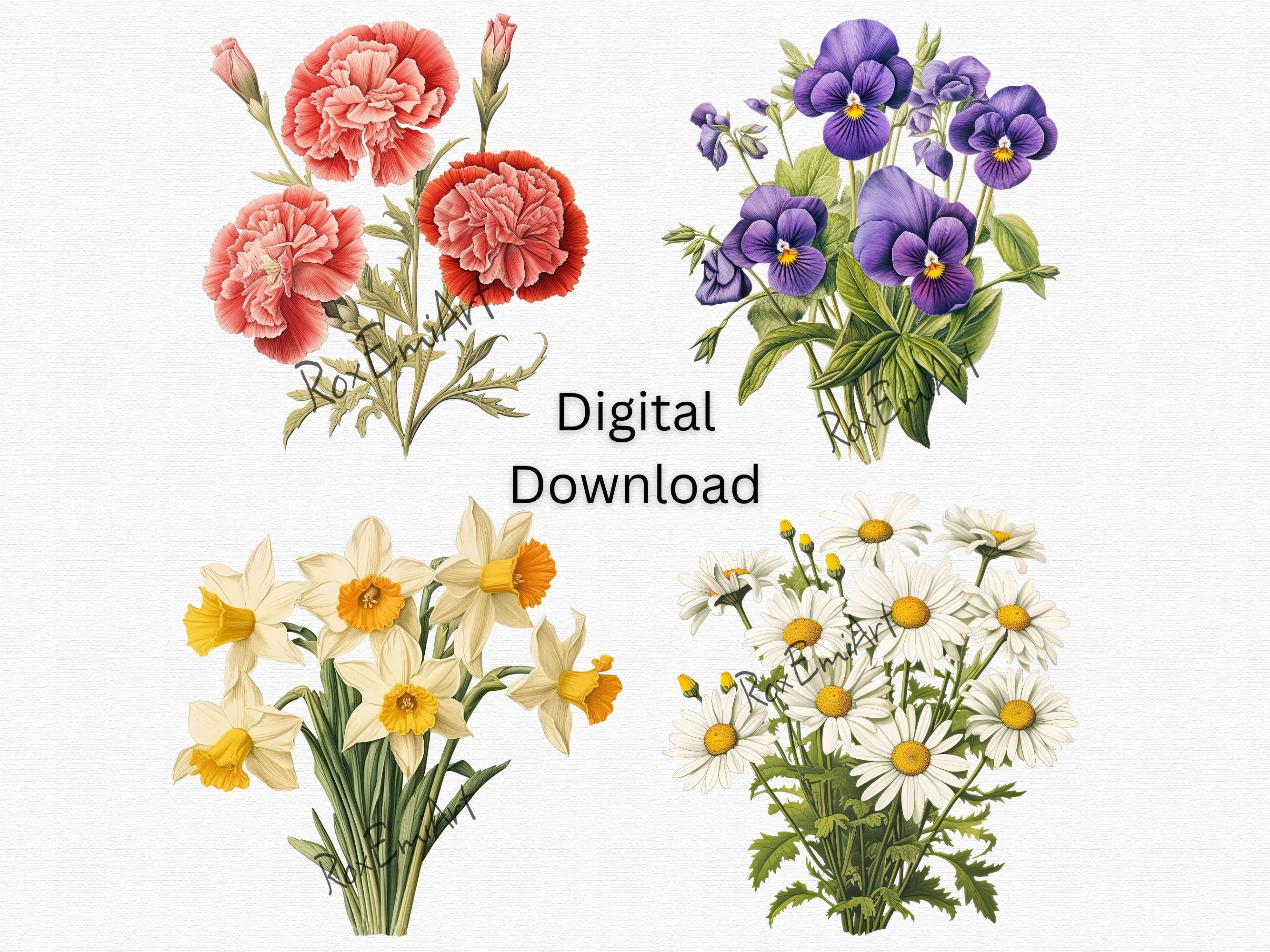 Birth Flower Clipart. Roses Clipart, Lily of the Valley, Water Lily ...