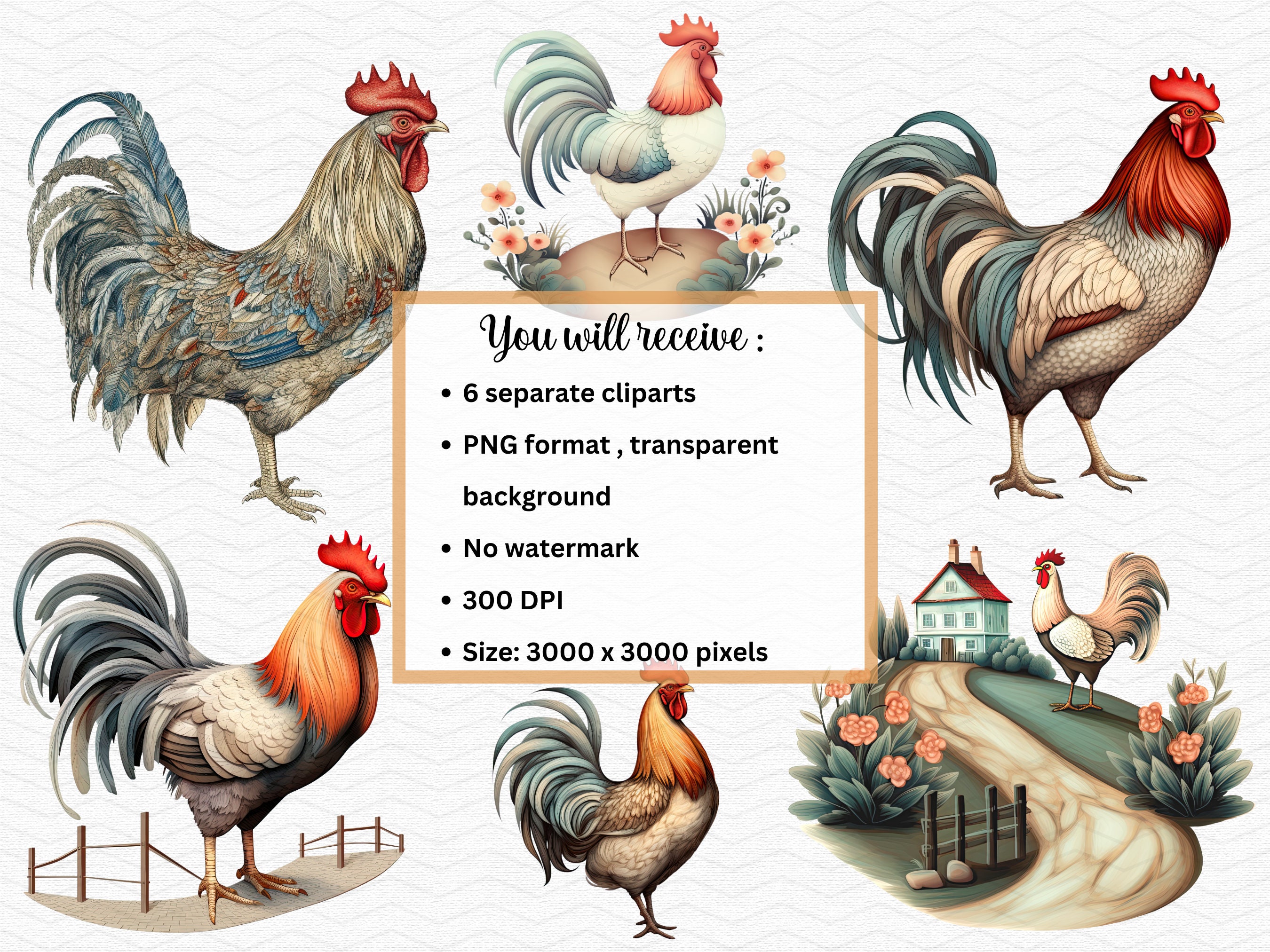 Watercolor Farmhouse Rooster Clipart Rooster PNG Farm Animals Clipart ...